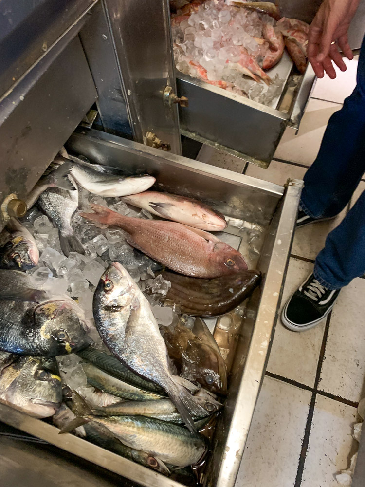Greece : Day 11 : Red Snapper – Travel